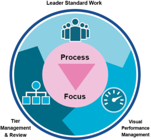 Performance Management Systems - Process Insight UK